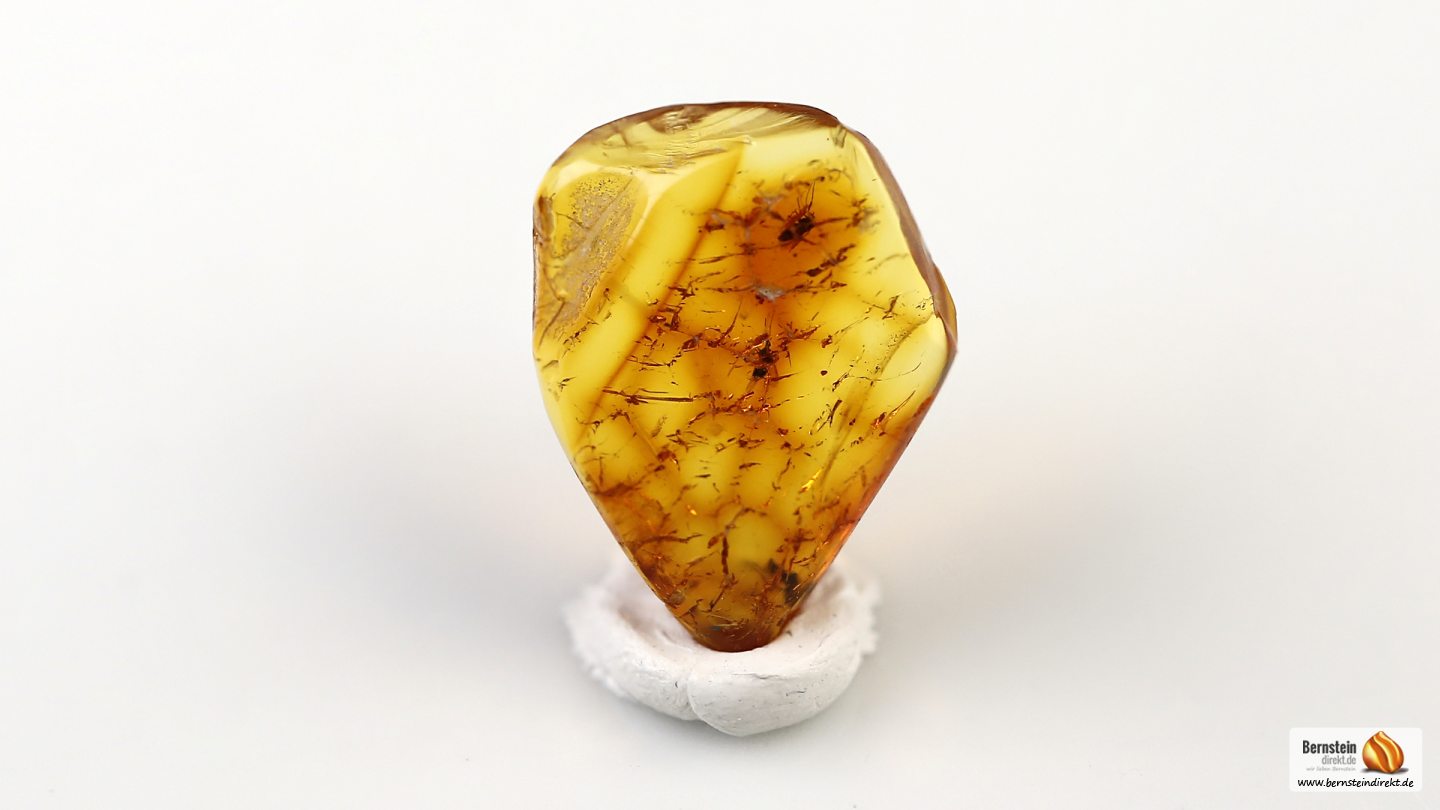 Mehrere Mücken im Baltischen Bernstein, Bernstein mit mehreren Mücken als Einschlüsse